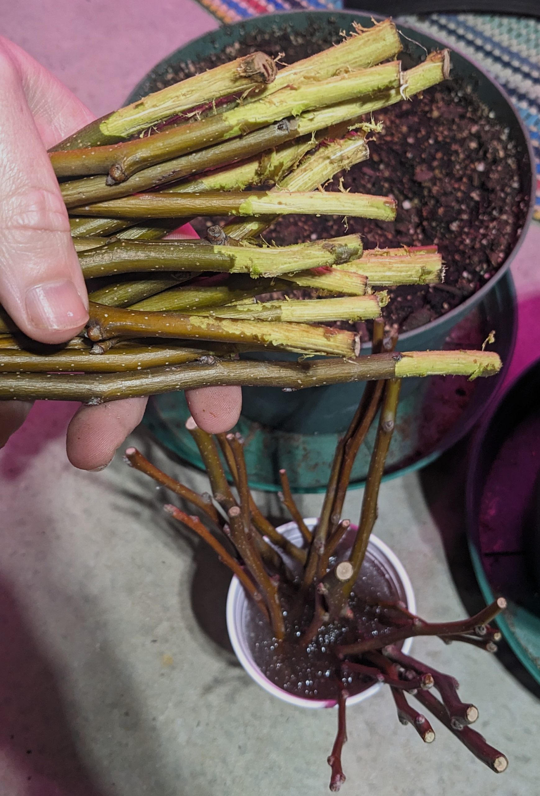 Always Be Cloning – Joe Rothberger